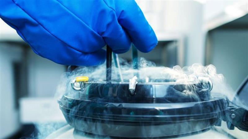 IVF Cryo Management System: Streamlining Renewal & Storage